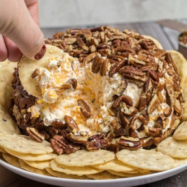 Easy Ranch Cheese Ball Recipe • Dishing Delish