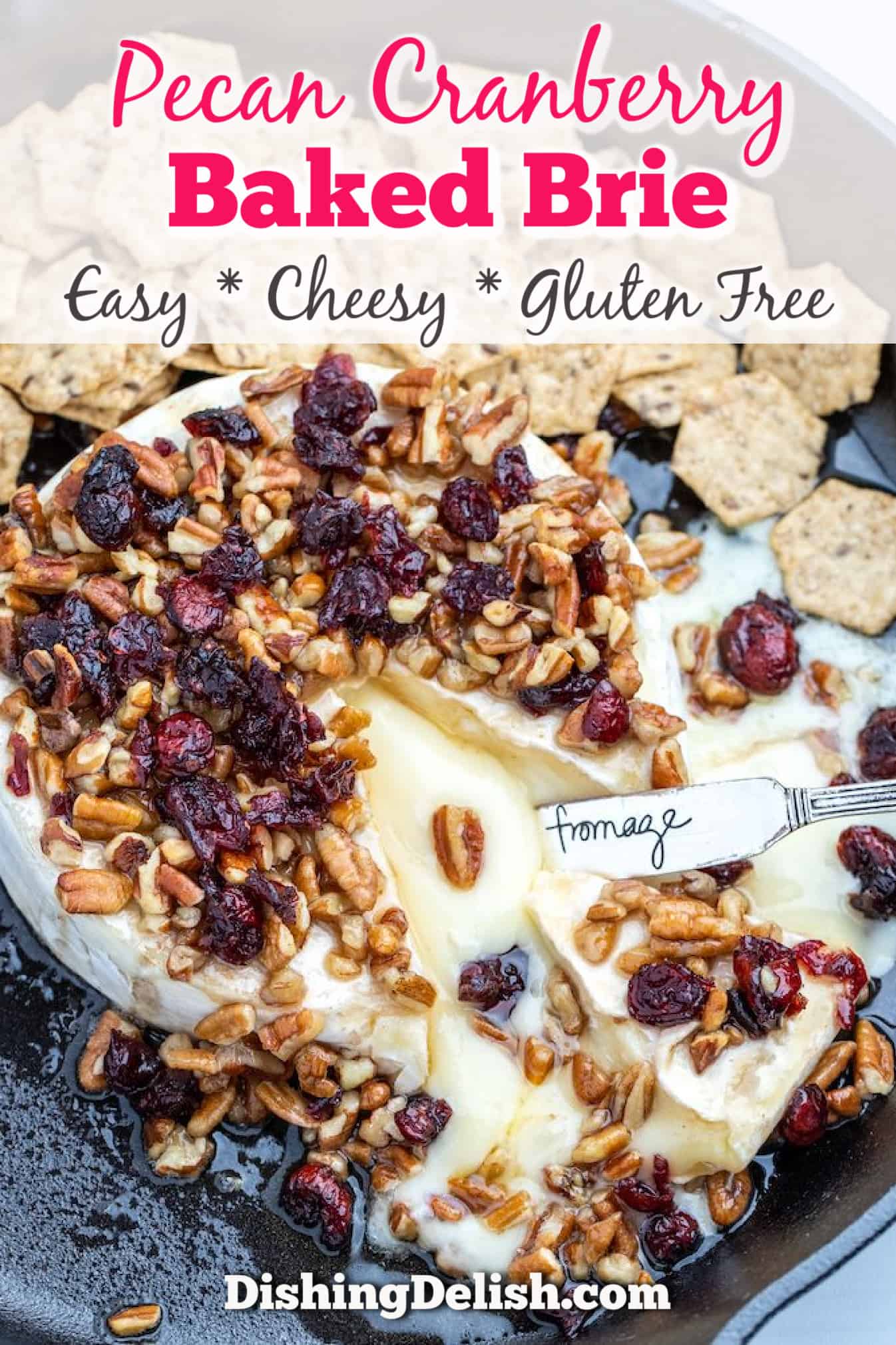 Pecan Cranberry Baked Brie • Dishing Delish