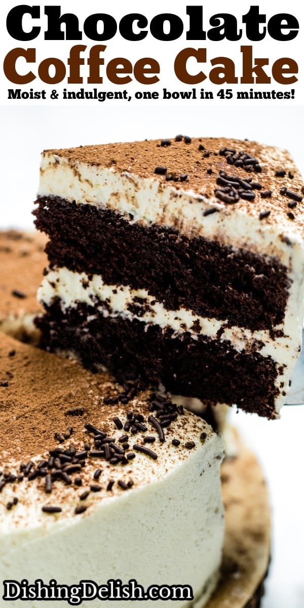 Chocolate Coffee Cake (One Bowl) • Dishing Delish