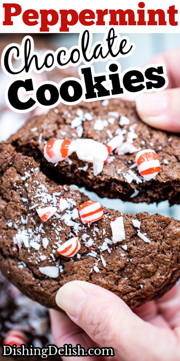 Easy Peppermint Chocolate Cookies • Dishing Delish