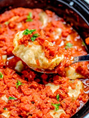Crockpot Cabbage Rolls • Dishing Delish