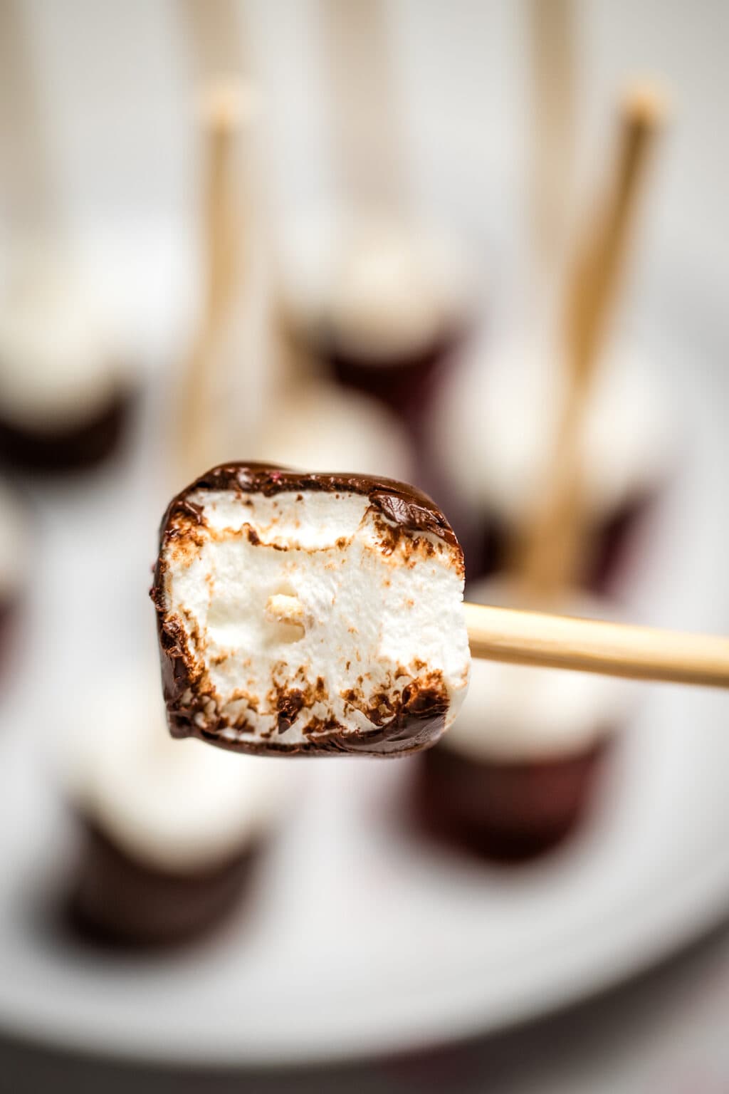 Chocolate Dipped Marshmallows • Dishing Delish