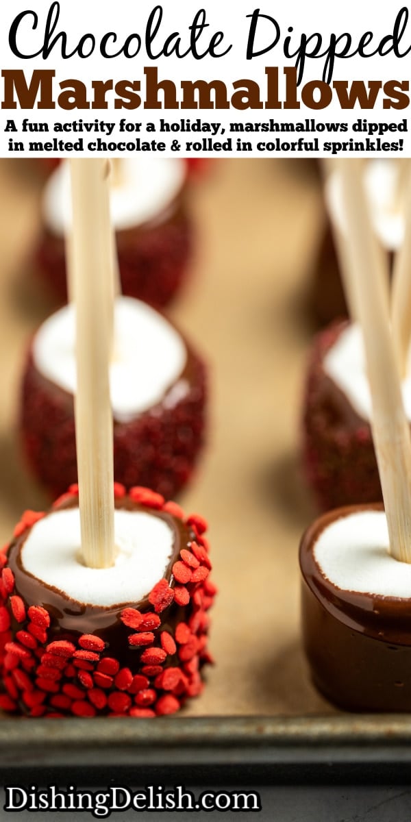 Chocolate Dipped Marshmallows • Dishing Delish