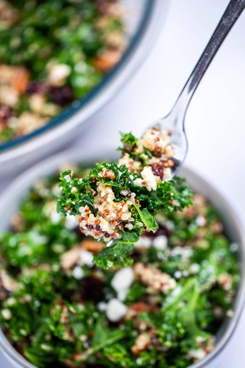 Kale Quinoa Salad • Dishing Delish
