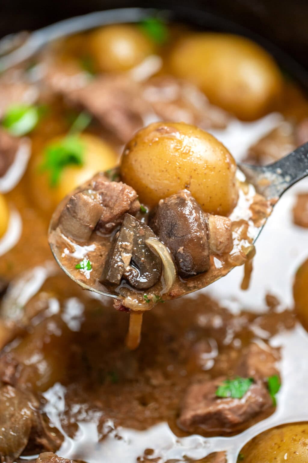 Slow Cooker Steak and Potatoes • Dishing Delish