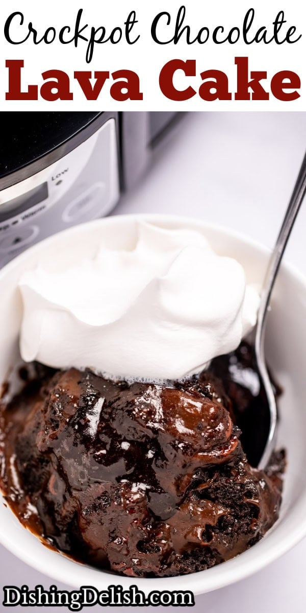 Slow Cooker Turkey Breast • Dishing Delish